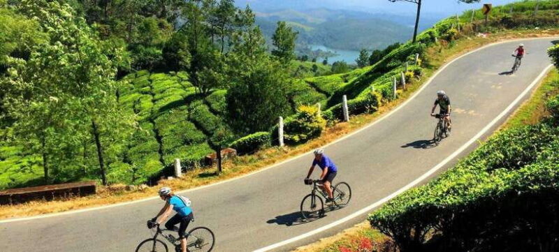 Habarana: Countryside Cycling Tour From Sigiriya, Dambulla - Detailed Breakdown of the Itinerary