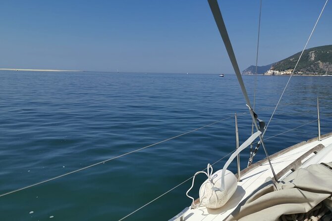 Half-Day boat experience - Comporta - Troia - Setubal - A Detailed Look at the Experience