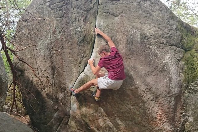 Half-Day Bouldering in Fontainebleau - Who Will Love This Tour?
