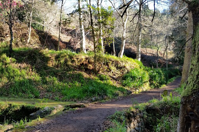 Half-Day Paradise Valley Walking Tour - Who Will Love This Tour?