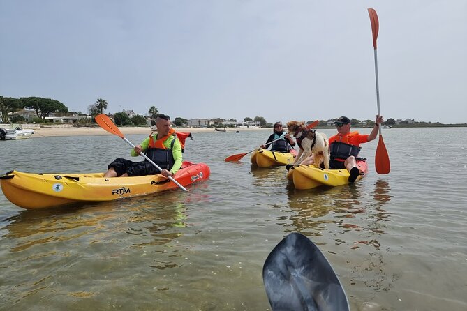 Half-Day Private Guided Kayak Island Tour - Who Will Love This Tour?