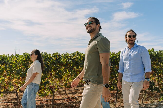 Half Day Wine Tour Around Evora - In-Depth Breakdown of the Itinerary