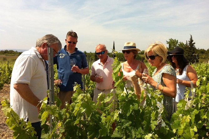 Half day wine tour. Private tour from Carcassonne and around. - Authentic Experiences and Guest Feedback