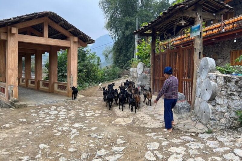 Hanoi: Ban Gioc Waterfall to Hidden Village Trekking Tour - Day Two: Scenic Treasures and Panoramic Vistas