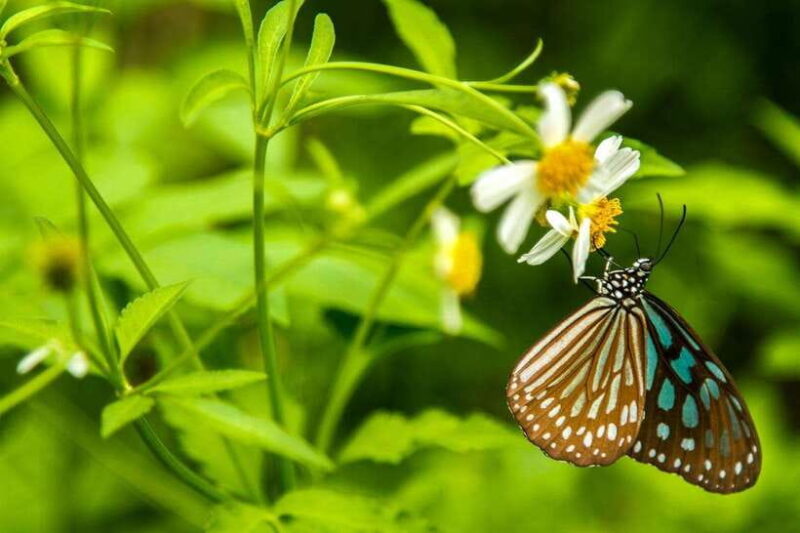 Hanoi: Full-day Cuc Phuong National Park Eco-adventure - What to Expect on the Day