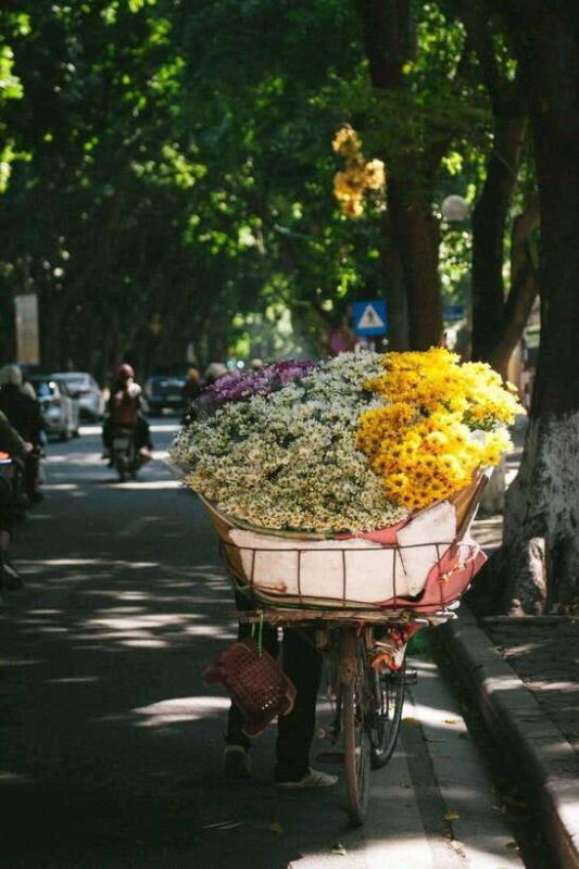 Hanoi Jeep Adventure: A Cultural Journey - The Experience Itself: What to Expect