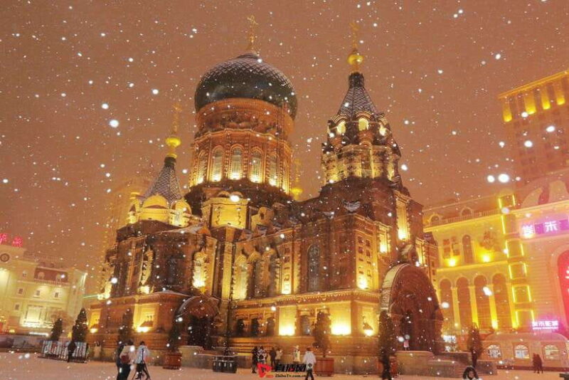 Harbin: Guided Day Tour with Hotel Pickup - What’s Included and What’s Not