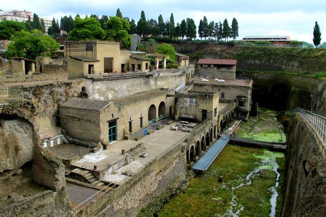 Herculaneum walking tour with a professional Guide - Frequently Asked Questions