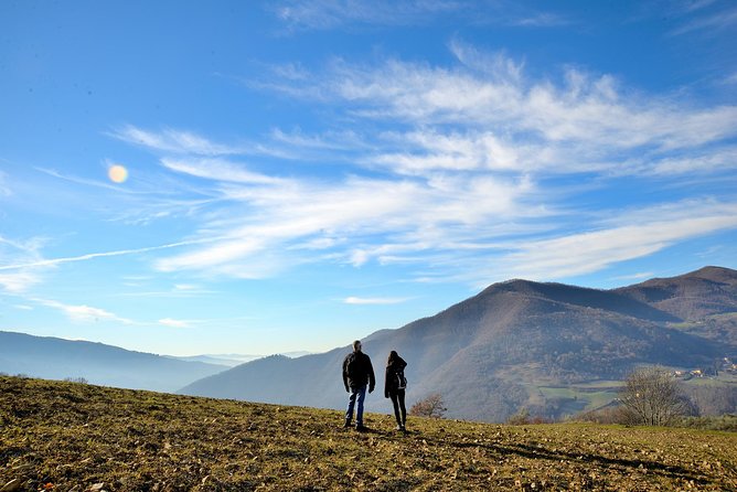 Hike & Wine Tour - What Reviewers Say