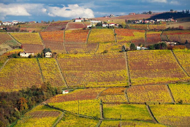 Hiking and wine tour starting from Alba - A Deep Dive into the Experience