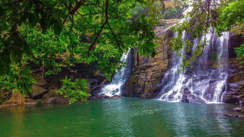 Hikkaduwa/Galle/Weligama/Mirissa: Day Trip to Ella Highlands - Practical Details and Value