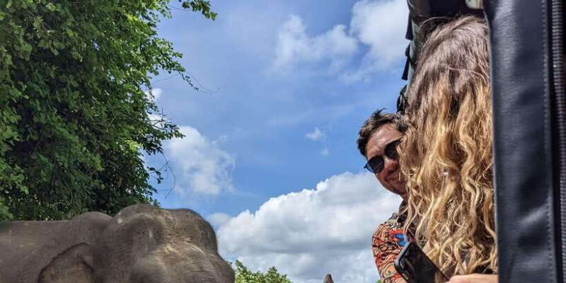 Hikkaduwa/Unawatuna/Weligama/Mirissa - Yala Safari & to Ella - Is It Worth the Price?