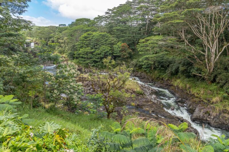Hilo: Gardens, Waterfalls & Farmers Market Shore Excursion - The Hawaii Tropical Bioreserve and Garden