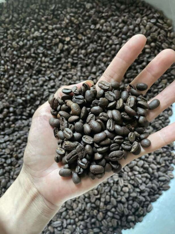 Hoi An:Coffee Making Class (Coffee: egg, Salt, Coconut, ...) - The Art of Making Vietnamese Coffee: A Deeper Look
