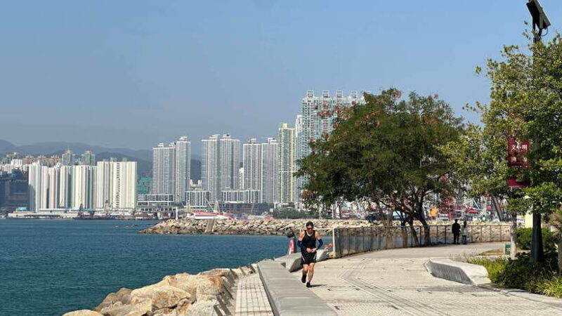 Hong Kong: Wong Tai Sin Temple and Victoria Harbour Tour - The Culinary Experience: Cantonese Lunch in Tsim Sha Tsui