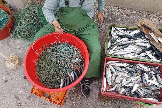 Hooked on Sesimbra - Practical Tips for Participants