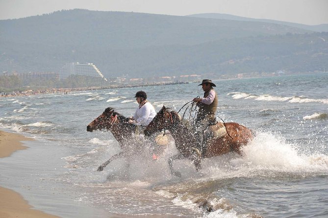 Horse Riding From Kusadasi Port / Hotels - The Itinerary: What to Expect from Start to Finish