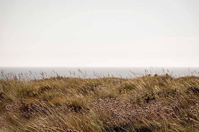 Horse Riding on the Beach - Why This Tour Works Well for Travelers