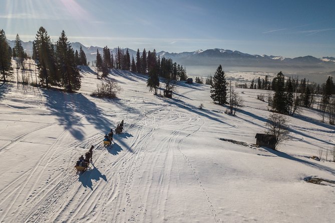 Horse Sleigh Ride in the Polish Countryside, private tour from Krakow - The Value of the Experience