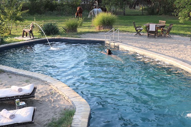 Horseback Riding and yurt stay in the Puszta, 1 hour morning ride - Final Thoughts