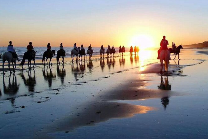 Horseback riding through Doñana and visit of El Rocio - Private tour - Final Thoughts