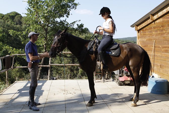 Horsemanship Experience - Who Will Love This Tour?