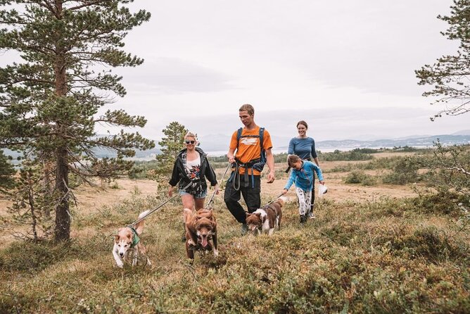 Husky Hike and Puppy Visit with Lunch - What Makes This Tour Stand Out