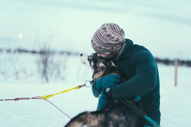 Husky Sledding Self-Drive Adventure in Tromso - What’s Included — and What’s Not