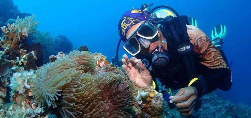 Jakarta: Diving at Thousand Islands Marine Park Day Trip - The Itinerary Explained: What Youll Experience