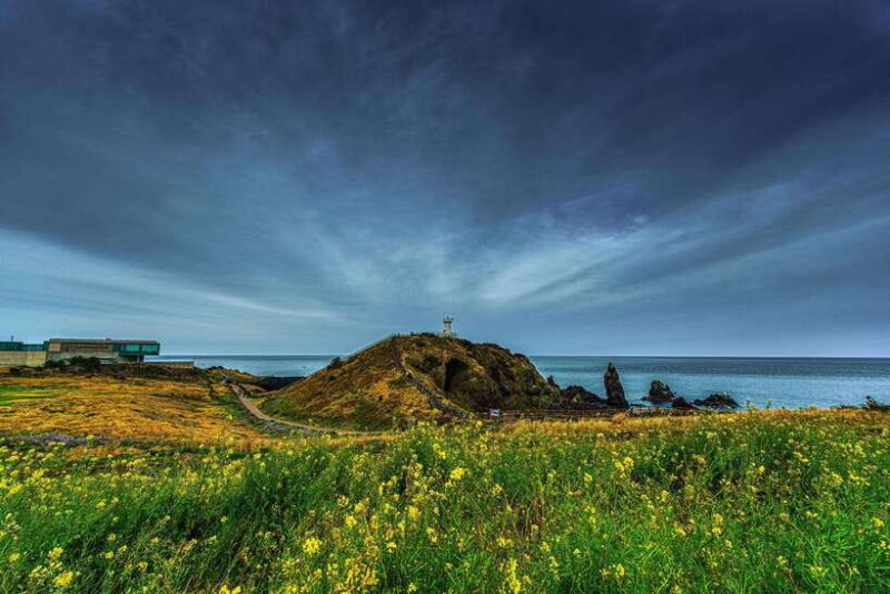 Jeju Island Day Tour for Cruise Ship Passengers - The Itinerary in Detail