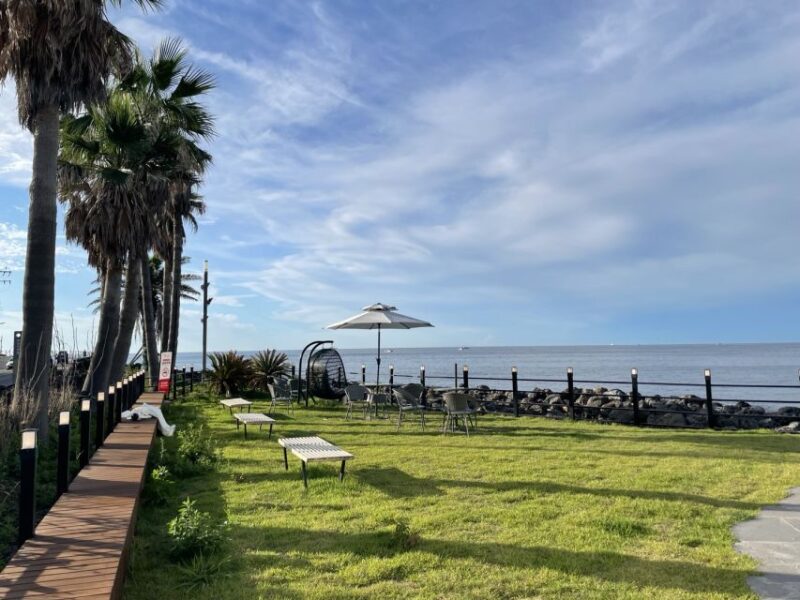 Jeju Island Private VIP Day Tour with Tickets - Authentic Experiences and Reviews