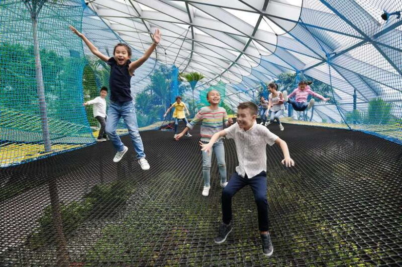 Jewel Changi Airport: Sky Nets Admission Ticket - The Details: What to Expect