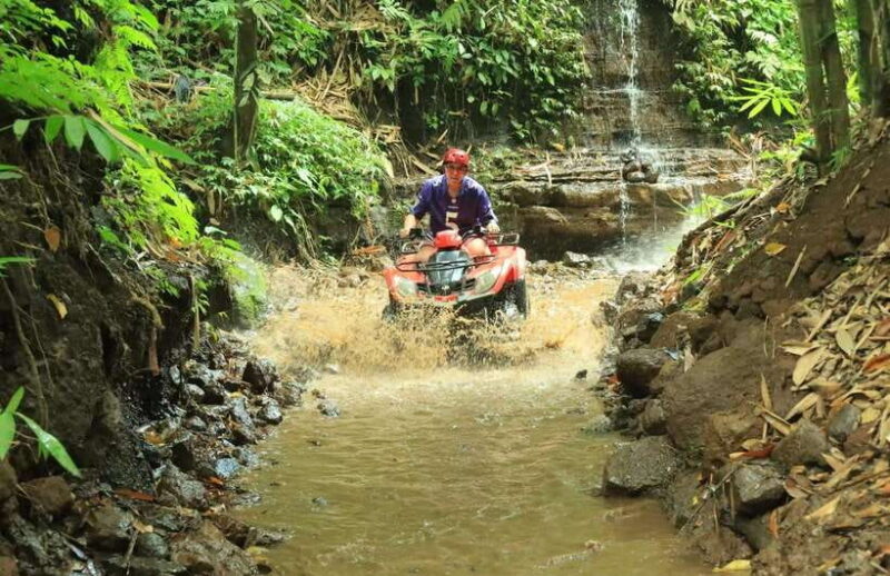 Jungle Bali ATV And Kintamani Volcano Tour - In-Depth Breakdown of the Itinerary