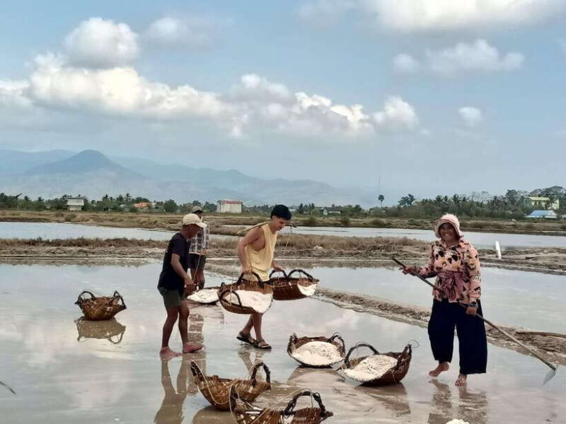 Kampot Countryside tour include Pepper farm by TukTuk - What You Can Expect on the Tour