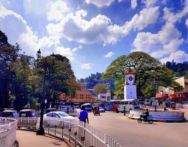 Kandy: Local Guided City Explore by Tuk Tuk - Who Should Consider This Tour?