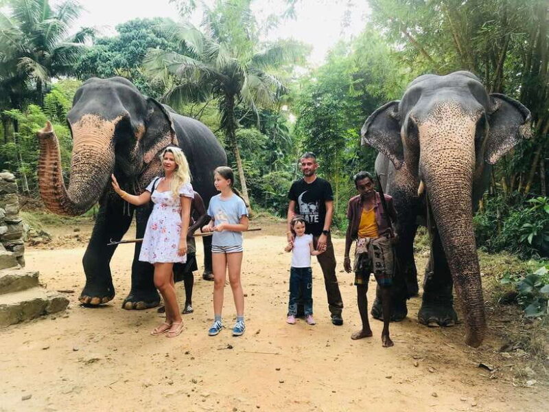 Kandy: Tuk Tuk Adventure with Pinnawala & Ambuluwawa Tower - In-Depth Look at the Itinerary