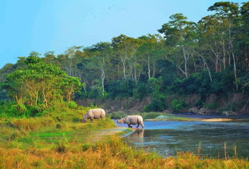 Kathmandu/Pokhara: 3 Day Chitwan Jungle Safari Tour - Key Points