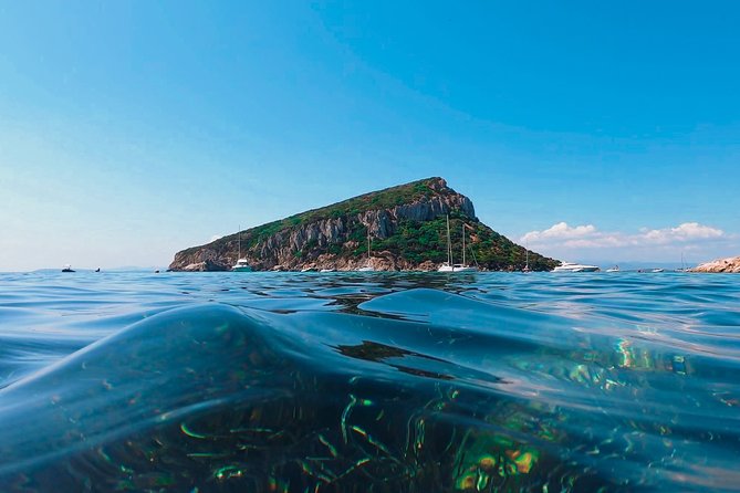 Kayak tour with aperitif and dolphins - Who Will Love This Tour?