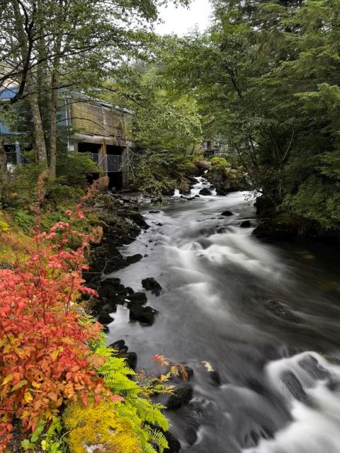 Ketchikan Photo Safari - Who Is This Tour Best For?