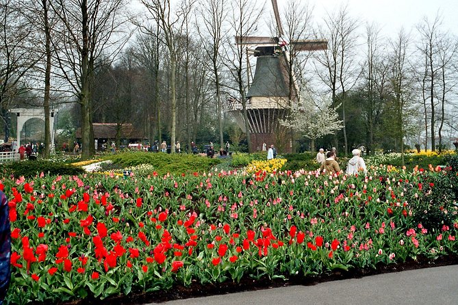 Keukenhof and Flower Fields Private Tour from Amsterdam - Why Choose This Keukenhof Private Tour?