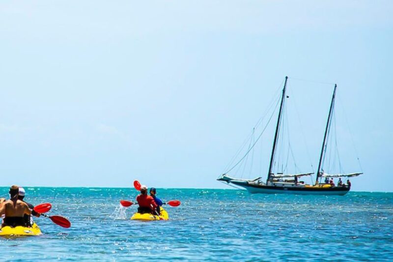 Key West: Full Day Tour of Key West National Wildlife Refuge - The Value of This Tour