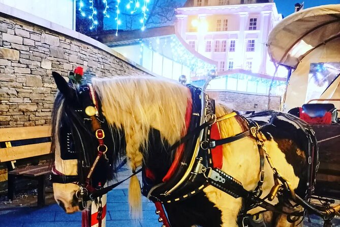 Killarney Jaunting Car Tour - Detailed Review: Why This Tour is Worth Considering