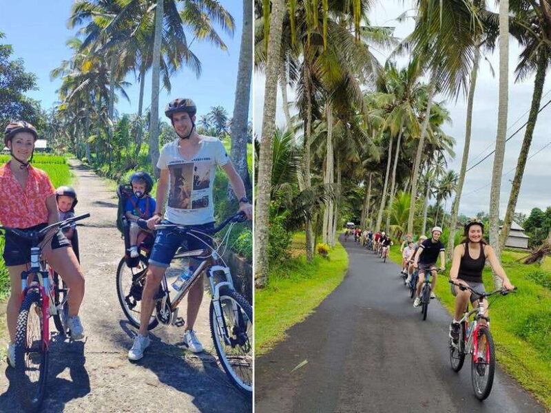 Kintamani to Ubud Downhill Cycling Tour - What’s Included and How It Works