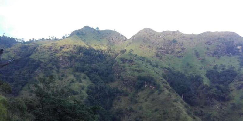 Knuckles Tuk Tuk Safari & short hiking - Highlights of the Tour