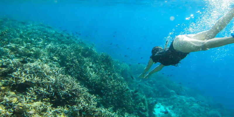 Komodo Island: Private 3-Day Tour with Boat and Hotel Stay - What Travelers Say