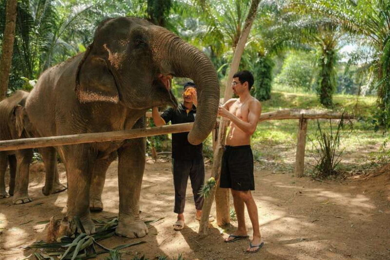 Krabi: Elephant Sanctuary (near Ao Nang) Visit - What Makes This Tour Stand Out