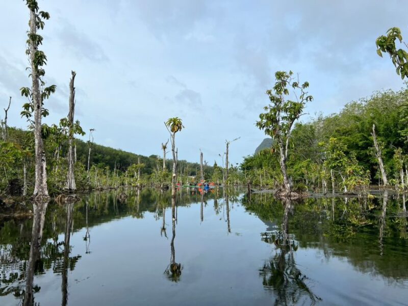Krabi: Kayaking at Klong Nam Sai, Elephant Bathing & Feeding - Exploring the Krabi Experience: What’s on Offer