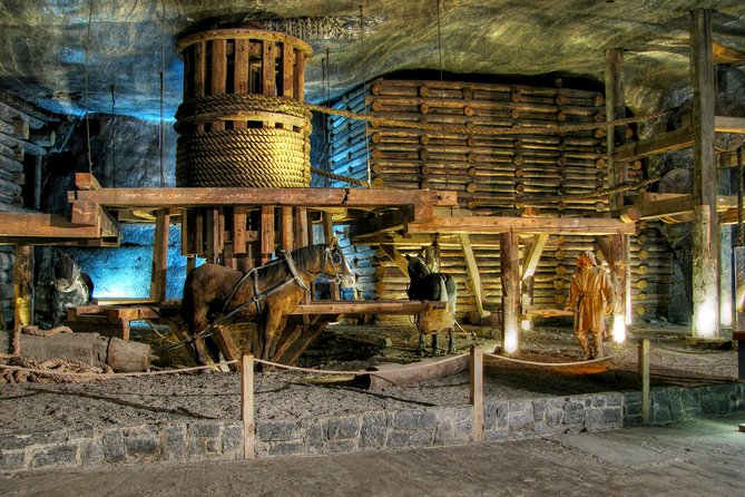 Krakow and Salt Mine Visit - Full Day Tour from Warsaw by private car - What’s Included and What’s Not