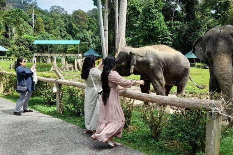 Kuala Lumpur: Kuala Gandah and Batu Caves Private Trip - What’s Included and What to Expect