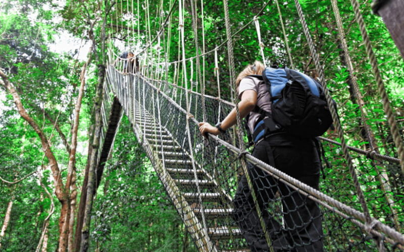 Kuala Lumpur: Taman Negara National Park Teras Waterfall - Detailed Breakdown of the Itinerary